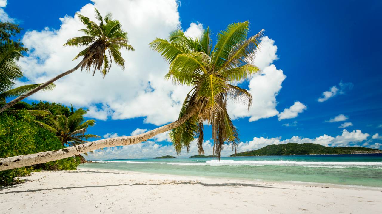 Sunward Travel Services - Sunward Travel